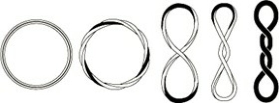 Linking Number & the Unwinding Assays | Inspiralis Ltd