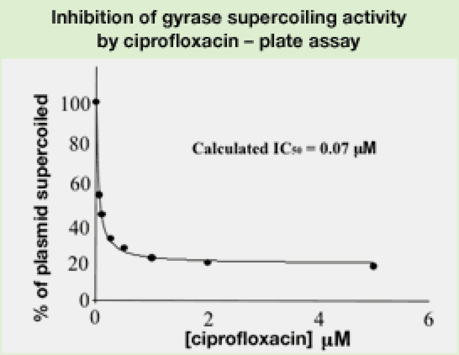 High/Medium-Throughput Topoisomerase Assay | Inspiralis Ltd