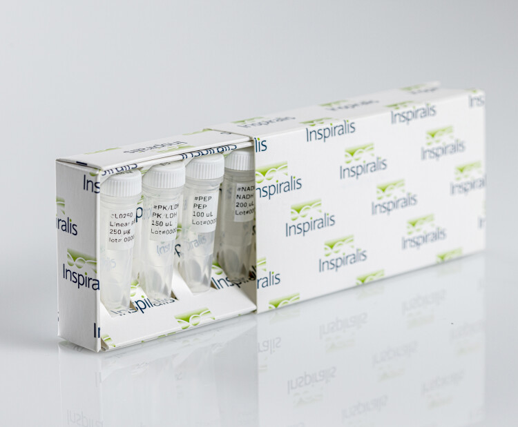 S. aureus Topoisomerase IV ATPase Kit | Inspiralis Limited