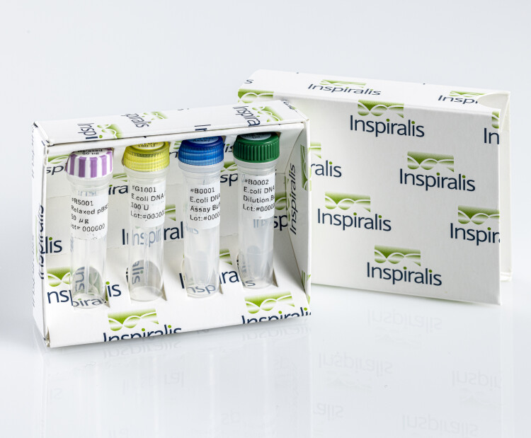 E. coli Gyrase Supercoiling Assay Kits | Inspiralis Limited