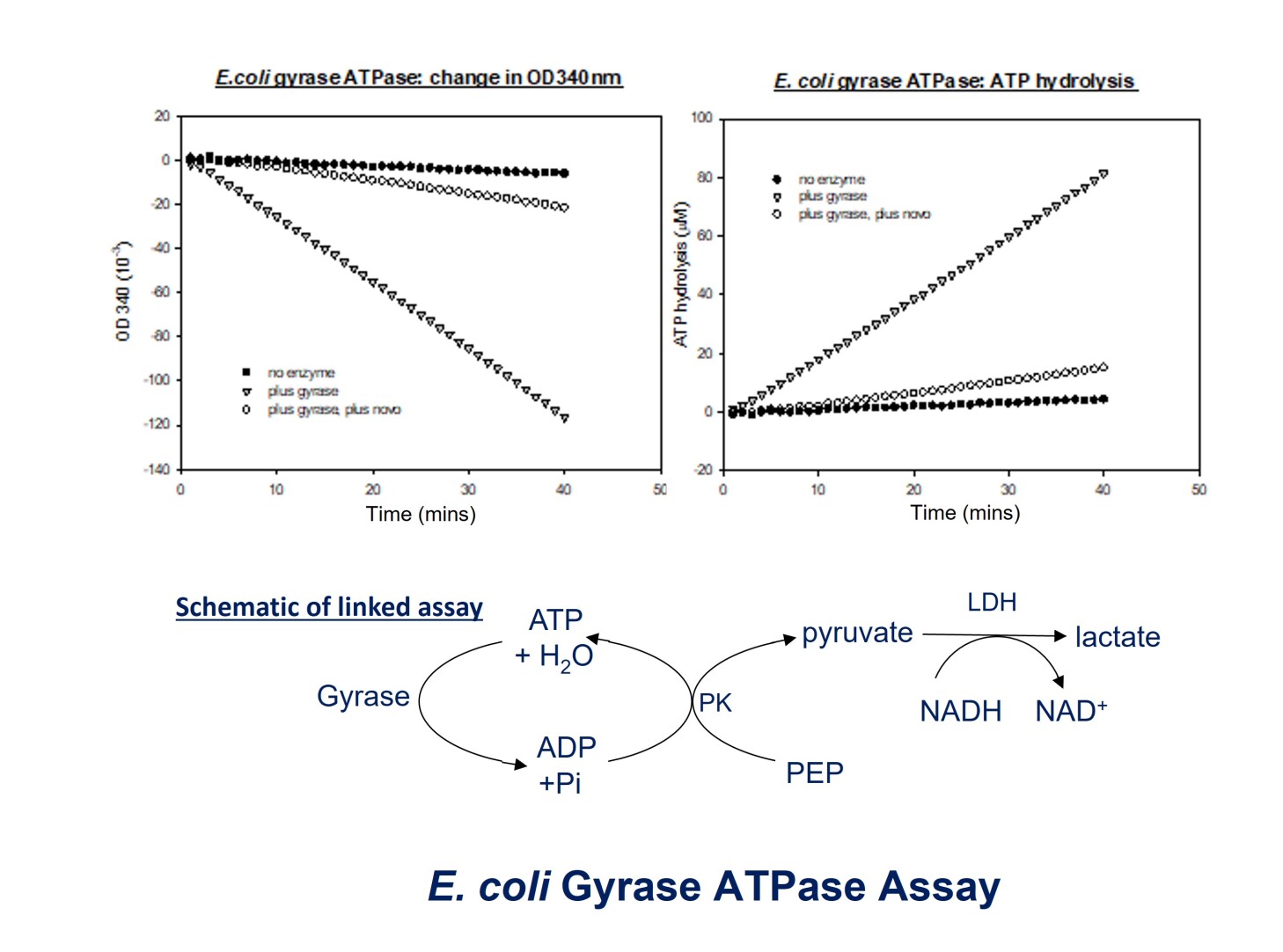 ATPase Reactions | Technical Information | Inspiralis Ltd