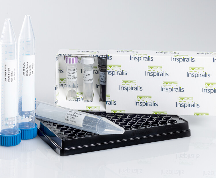 High / Medium-Throughput Assay Kit - E. coli Gyrase | Inspiralis Limited