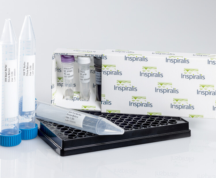 High / Medium-Throughput Assay Kit - Human Topoisomerase I | Inspiralis ...