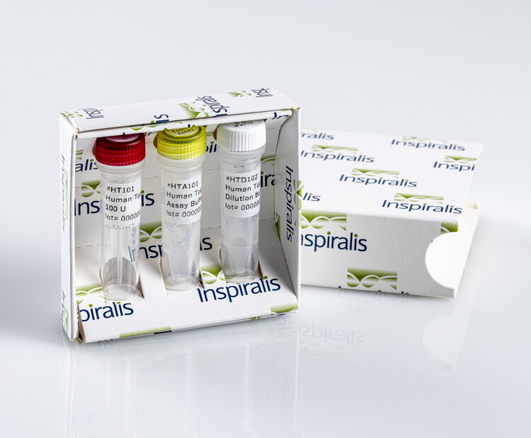 Buy Human Topoisomerase I Online